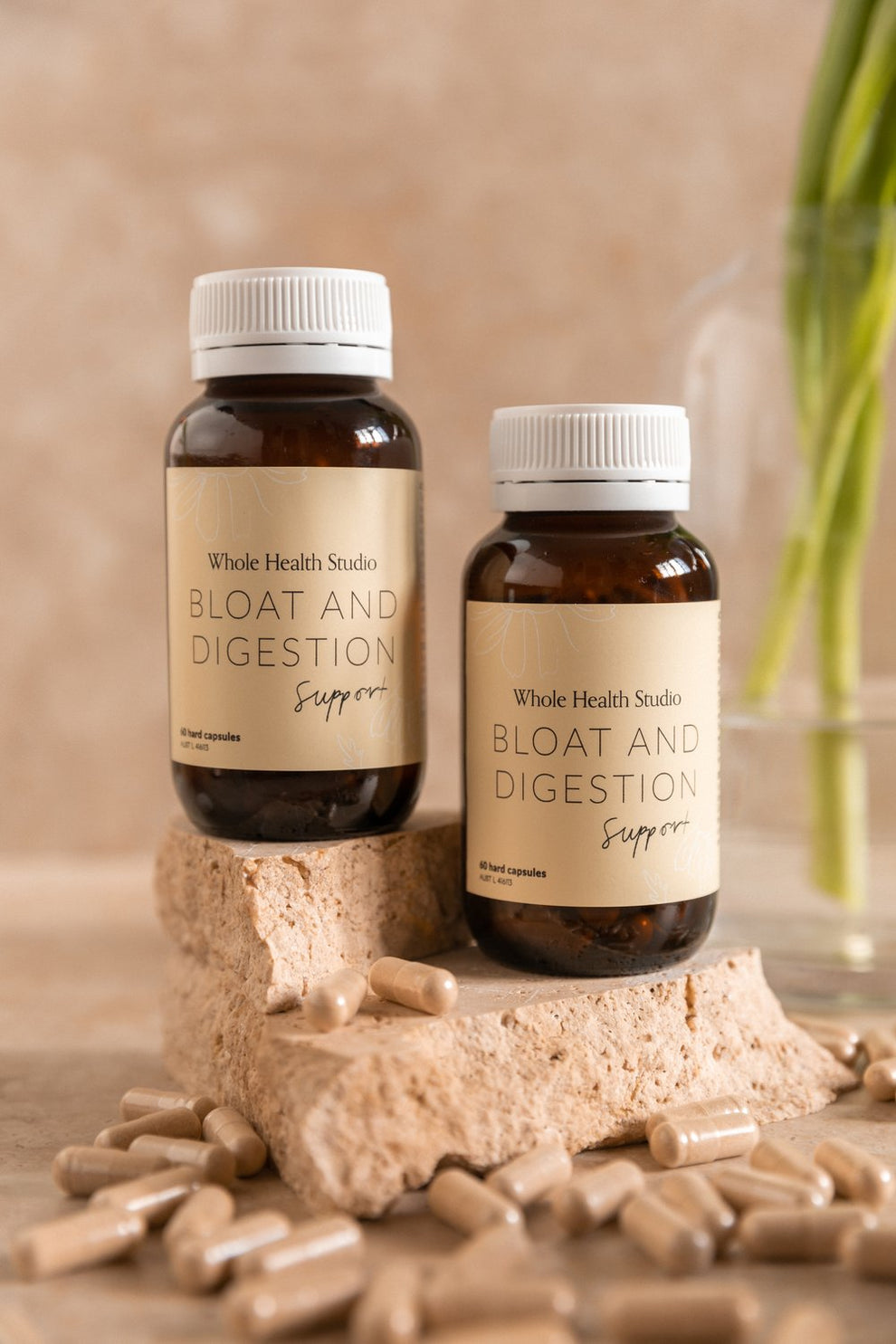 Bloat and Digestion Support – The Functional Collective
